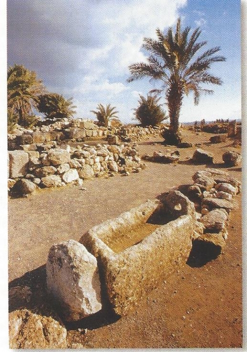 The Authentic Manger Challenge - Miriam Feinberg Vamosh's blog